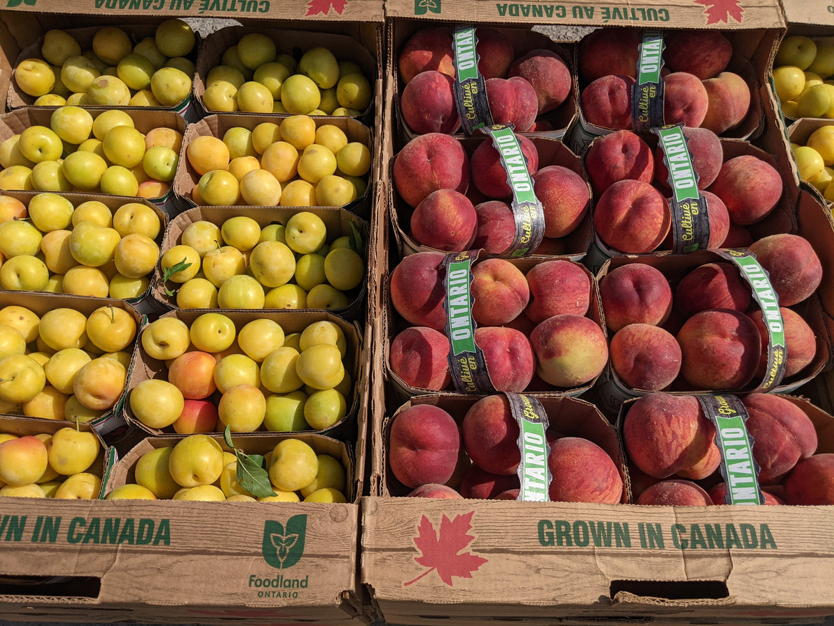 Fruit – Niagara Fresh Market