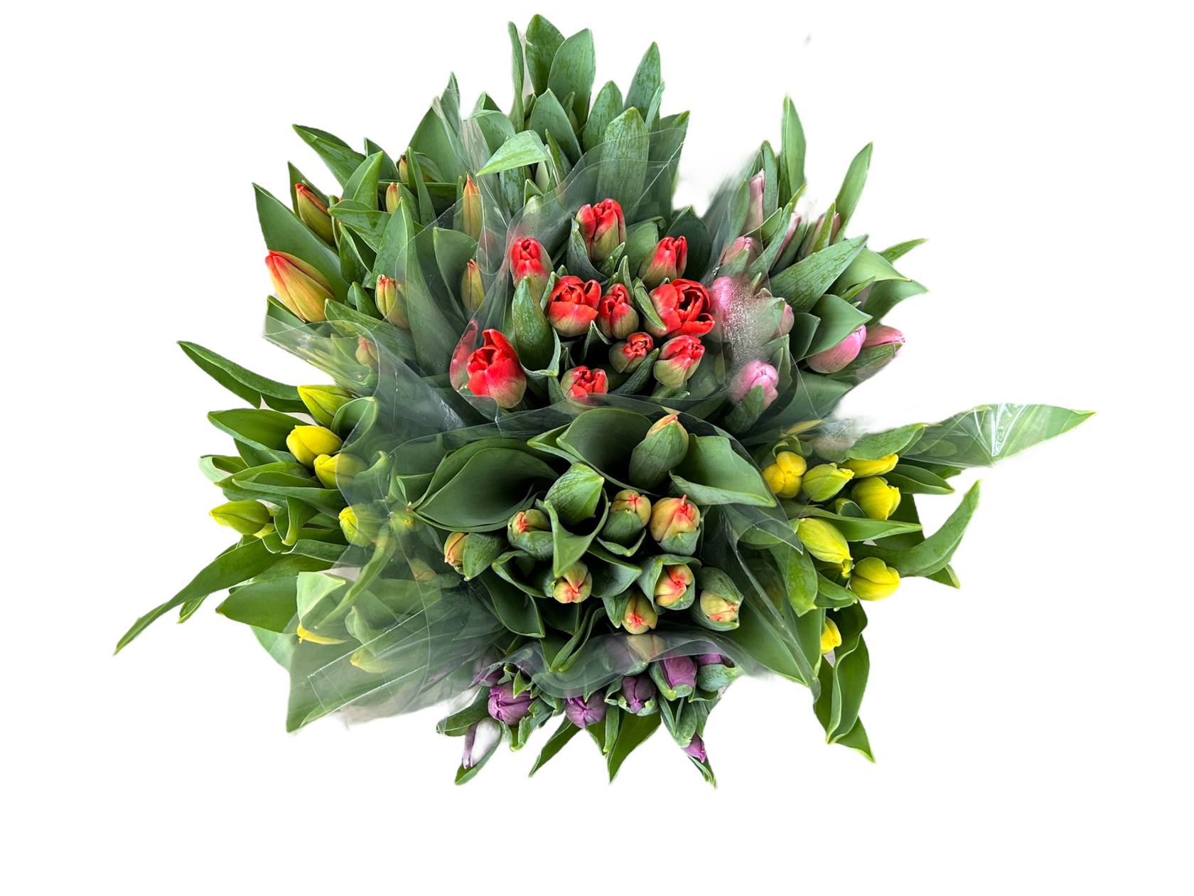 Niagara Fresh – Niagara Fresh Market