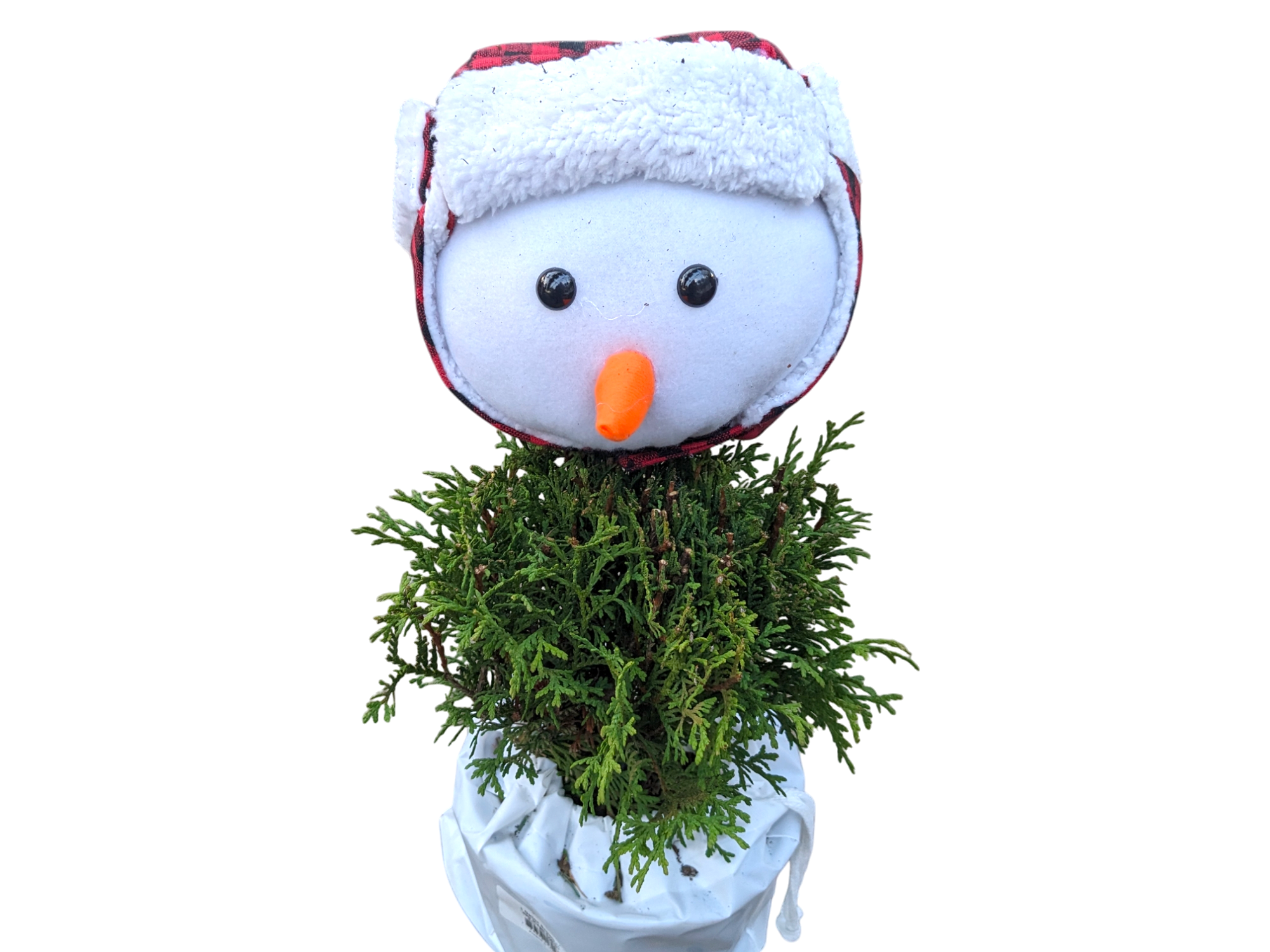 1 Gallon Snowman Tree – Niagara Fresh Market